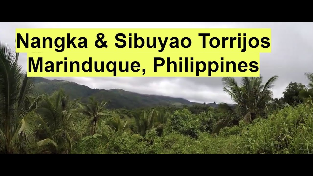 Tricycle Ride to Nangka | Sibuyao Waterfalls | Torrijos, Marinduque ...