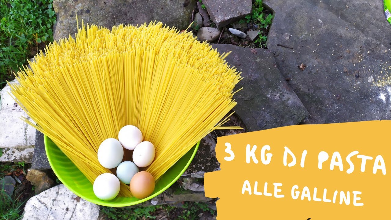 3 kg di pasta alle Galline - YouTube