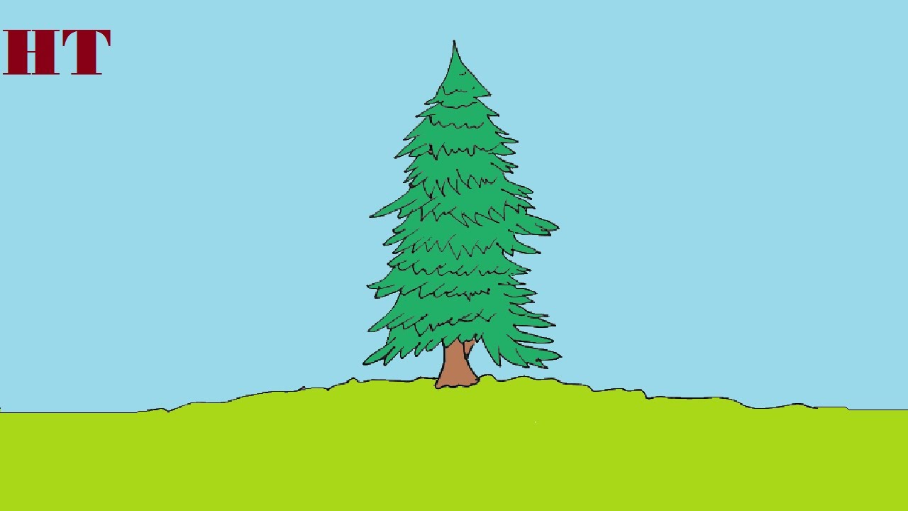 How to draw a pine tree step by step - YouTube