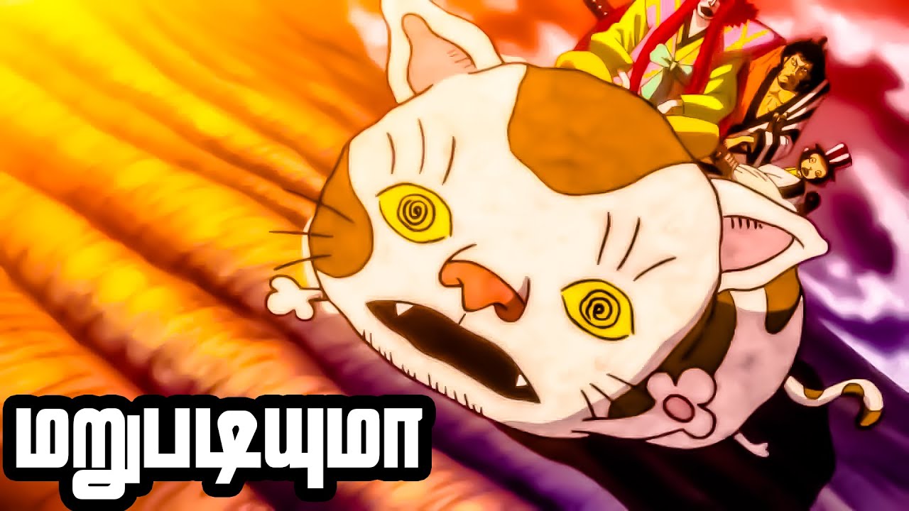 One Piece Series Tamil Review - Garchu! | #anime #onepiece #luffy # ...