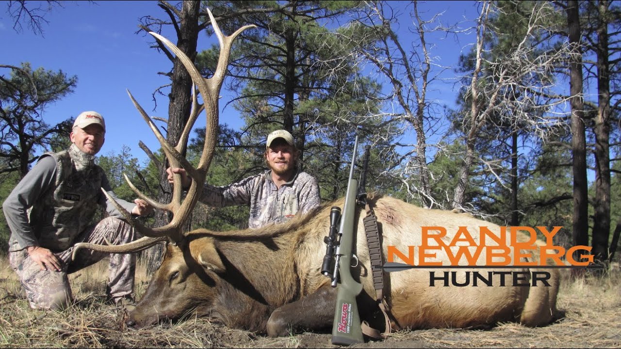 Hunting New Mexico Elk with Randy Newberg and Friends - Gila Monster ...