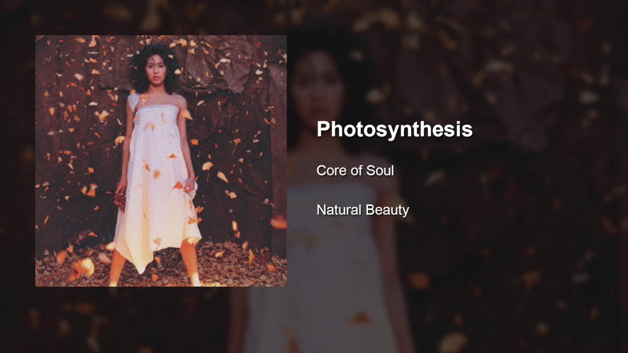 Core of Soul - Photosynthesis - YouTube