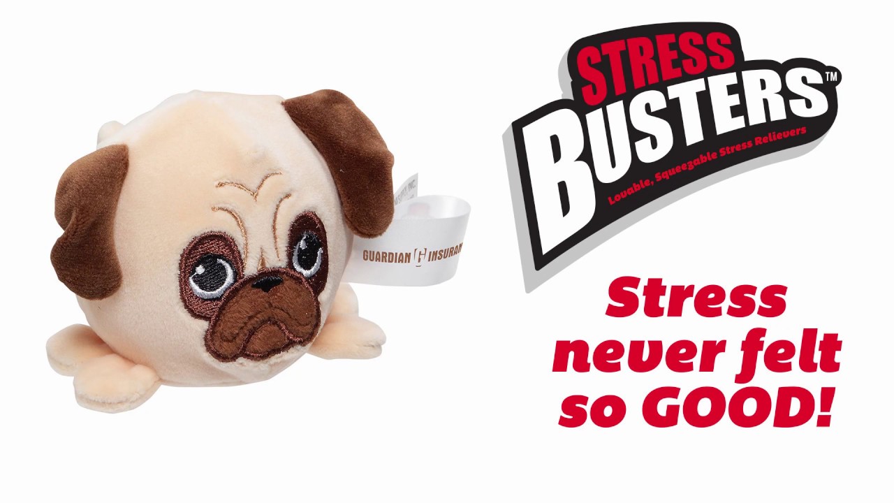 Stress Busters™ - Pug - YouTube