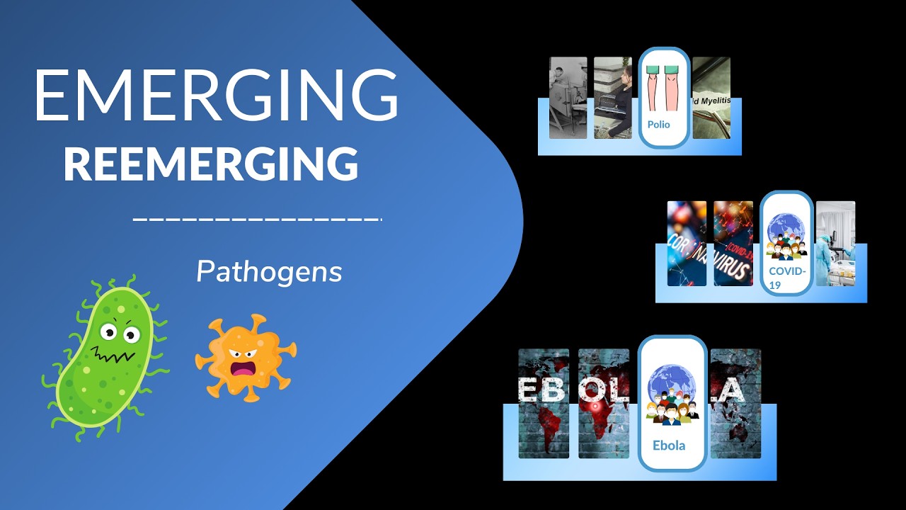 Emerging and Reemerging Pathogens - YouTube
