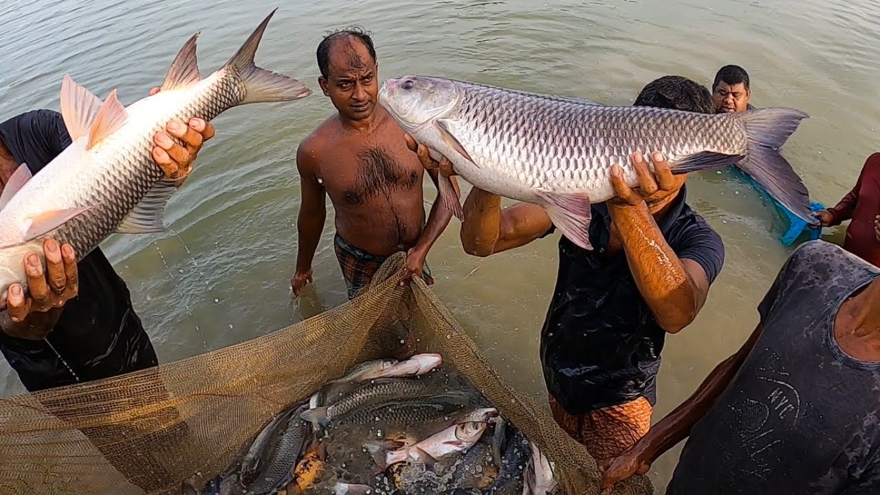 Most Unbelievable FISHING । Catch biggest monster fishing #fishing ...