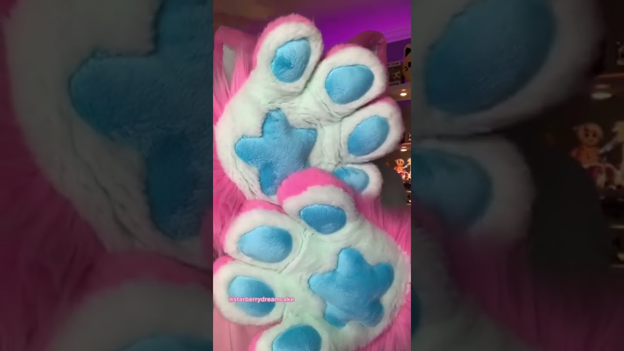 🐾 Tiktok Trend #furry #toebeans #paws #fursuit #fursuiter #furryfandom #kemono - YouTube