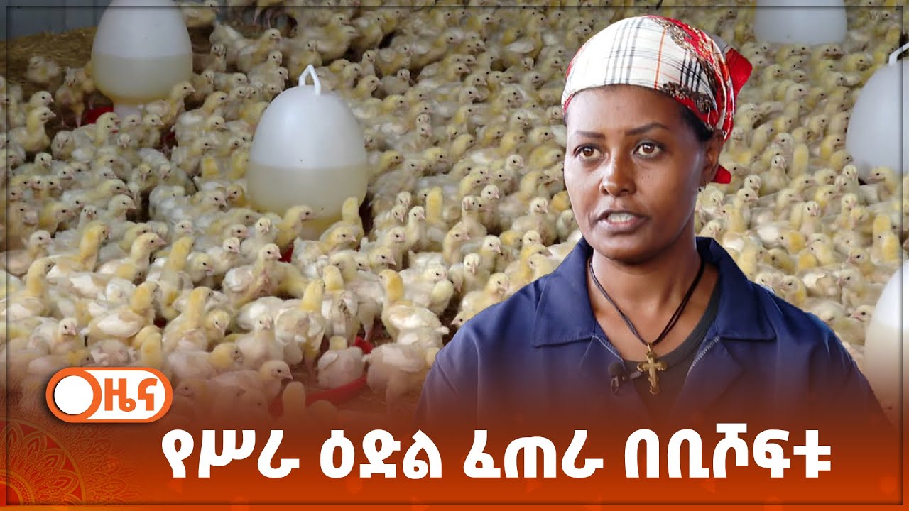 የሥራ ዕድል ፈጠራ በቢሾፍቱ Youtube
