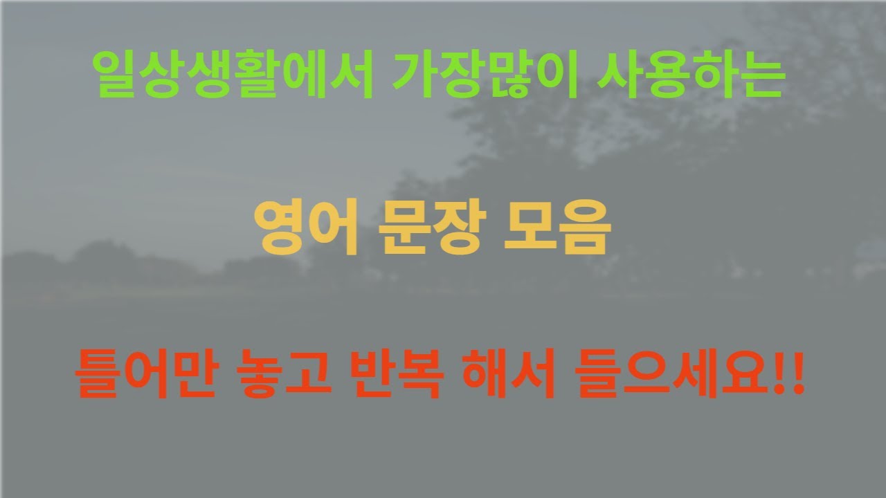 모든 영어 학습자가 알아야 할 습관과 구문자신감 있고 유창하게 영어를 말하는 방법성공하기 위해 필요한 비즈니스 영어 어휘