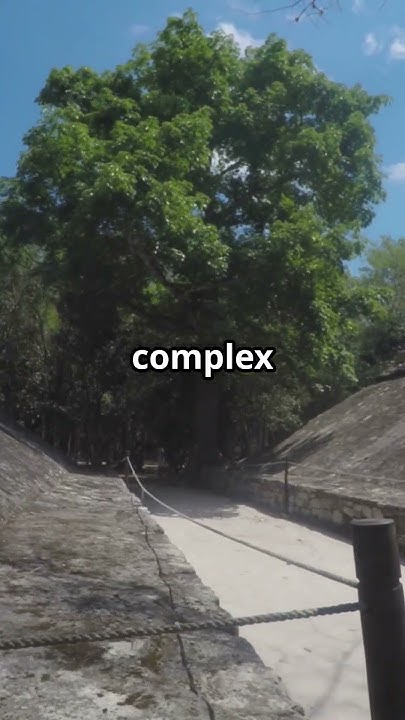 Unveiling the Lost Maya City Hidden - YouTube