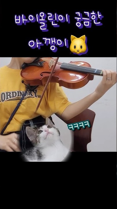 학원에 놀러온 호기심 많은 아깽이🐱ㅋㅋㅋㅋㅋ Youtube
