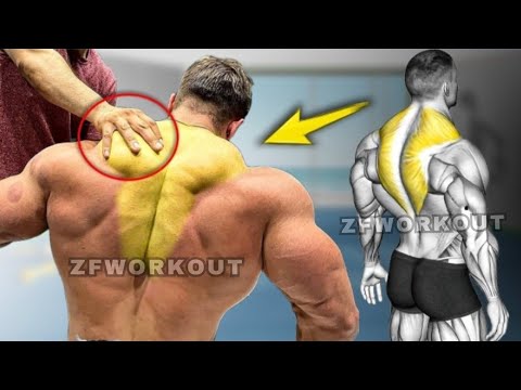 Traps Workout | 7 Trap Exercises To Build Big Traps Fast - YouTube