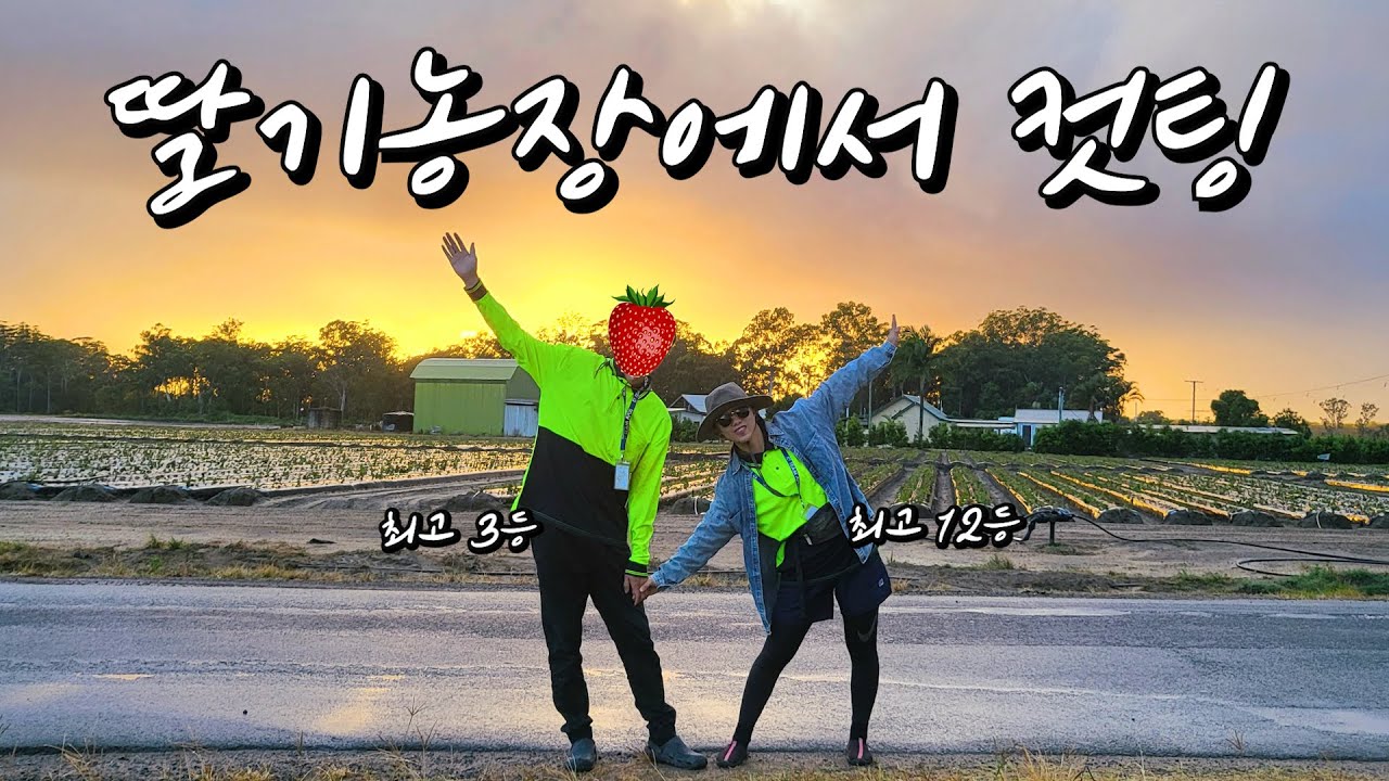 Vlog 〔호주 워홀🍓〕 딸기농장 워킹홀리데이 카불쳐 컷팅 딸기커팅 딸기요정 세컨비자 Youtube