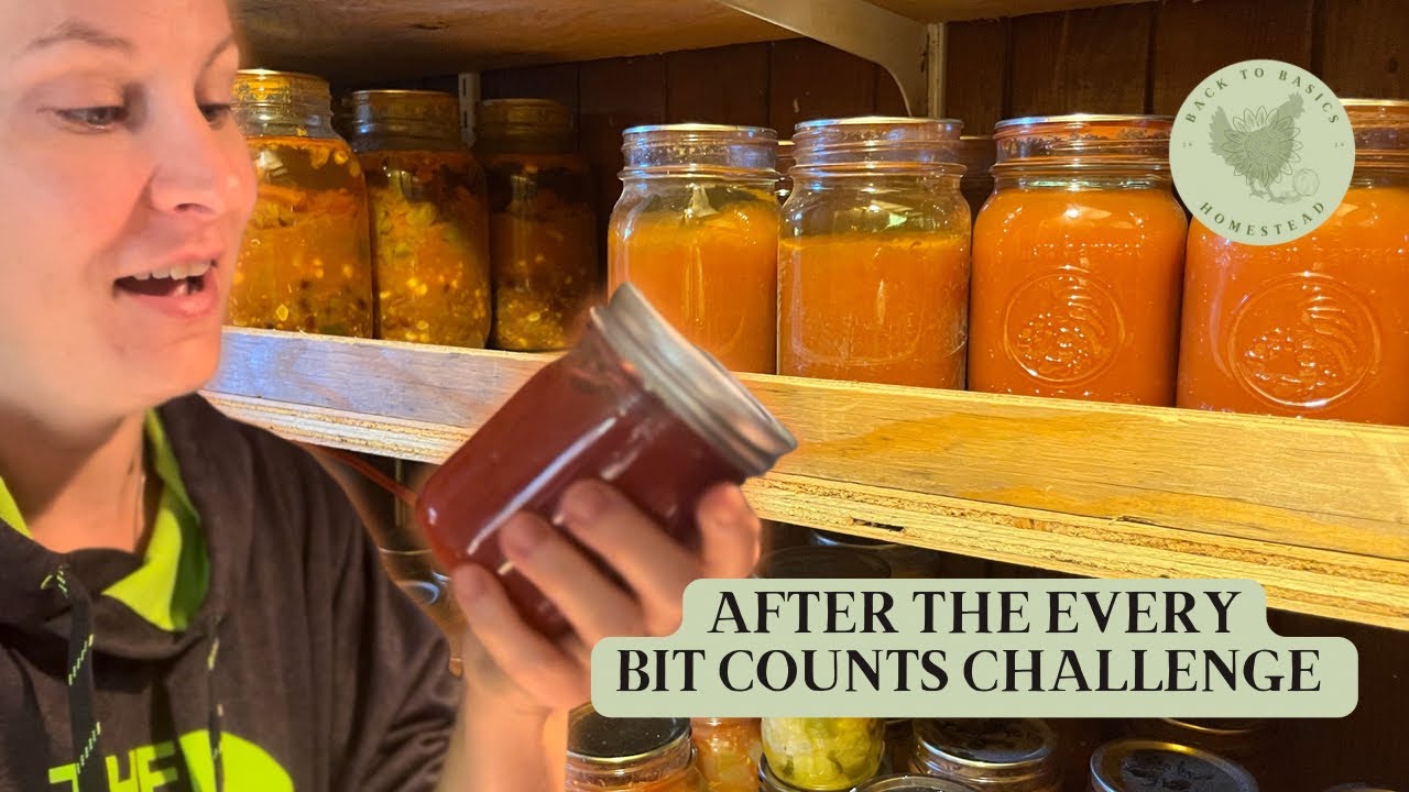 After the Every Bit Counts Challenge | September Pantry tour - YouTube