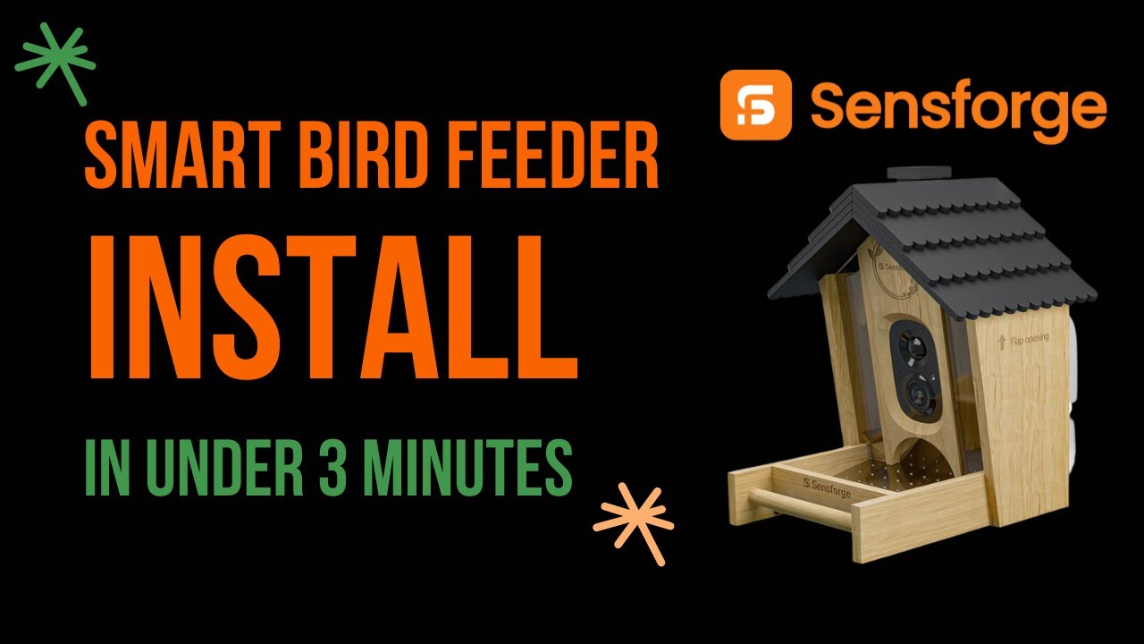 Smart Bird Feeder: 3-Minute Quick Start - YouTube