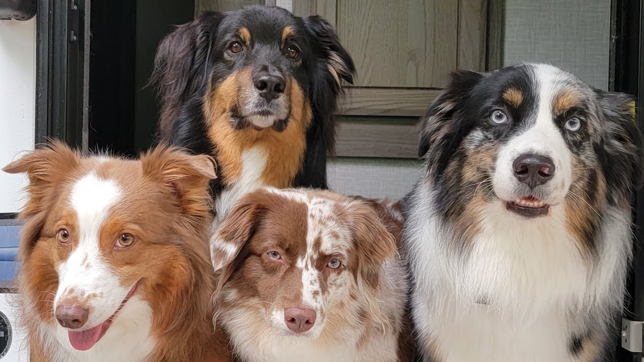 Welcome To My Silent Stream - YouTube