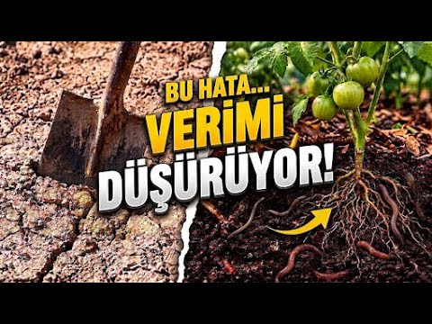 Toprağı Kazmayı Bıraktım, Verim Neden Arttı? | Efsane mi, Gerçek mi?