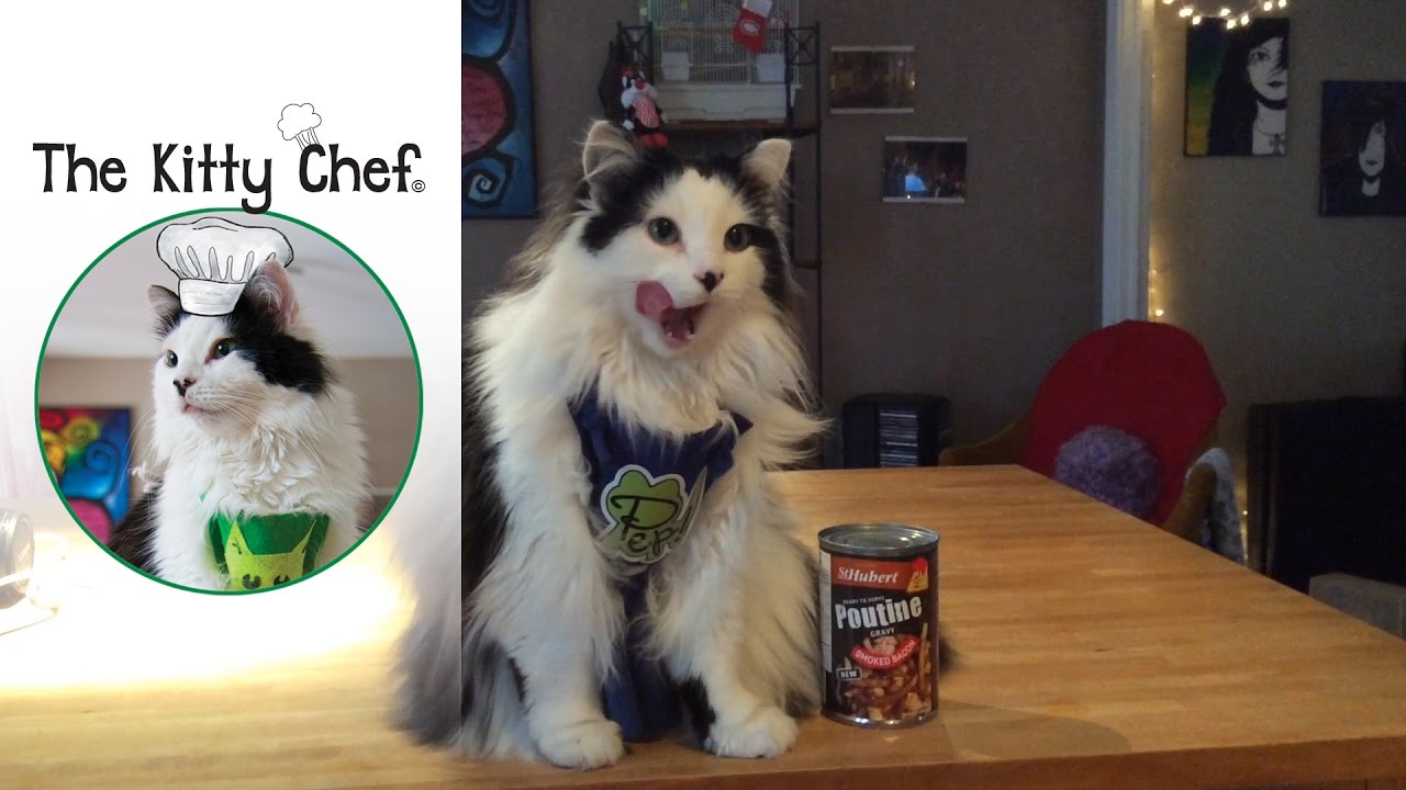 The Kitty Chef (The Oreo Cat): Penne à la Poutine - YouTube