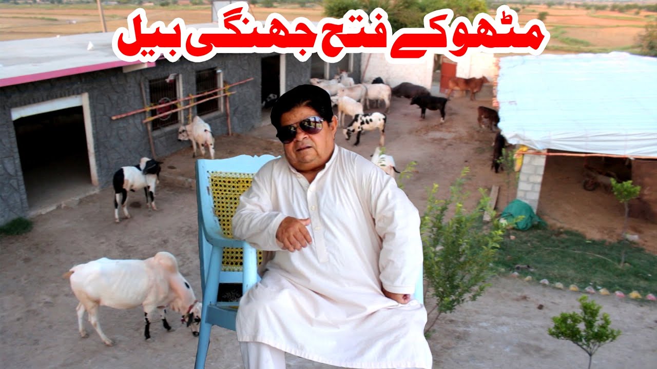 Pothwari Top Funny Drama - Mithu Butt Ep1 - Shahzada Ghaffar Funny Clips - Pothwar Gold - YouTube