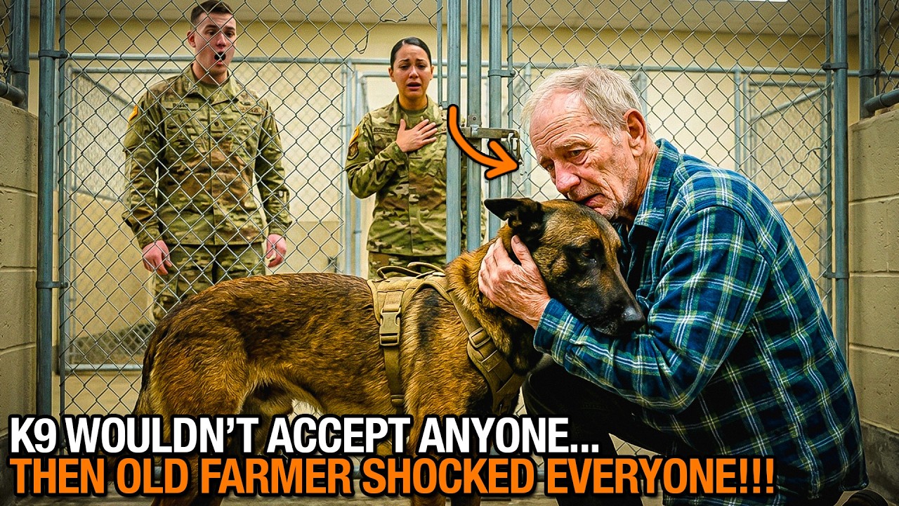 The K9 Refused Every New Handler for Two Years — Until the Old Farmer ...