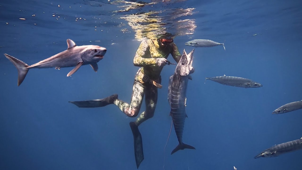Spearfishing GIANT FISH in Canary Islands - Pesca Submarina en Tenerife ...