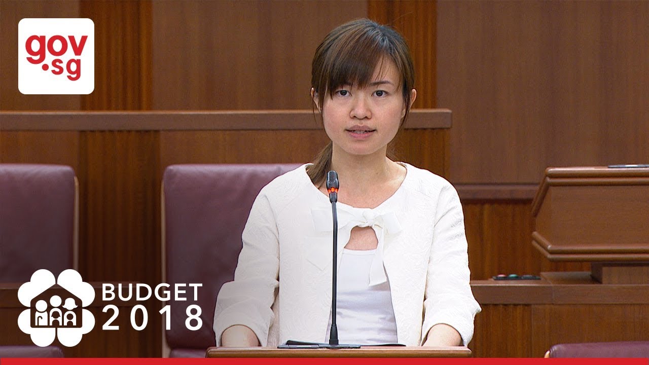 MP Tin Pei Ling on Budget 2018 - YouTube