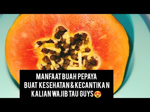 🔴LIVE  SIAPA SANGKA BUAH PEPAYA SELAIN UNTUK PELANCAR BAB JUGA UNTUK KECANTIKAN 😍