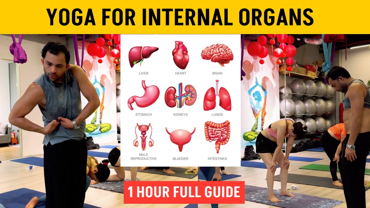 Yoga For Abdominal | Yoga For Internal Organs | Yoga For Organs ...