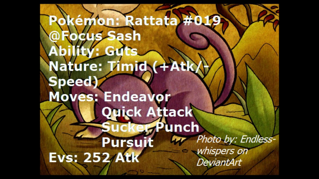 Pokemon Movesets Series #1 - Rattata - YouTube