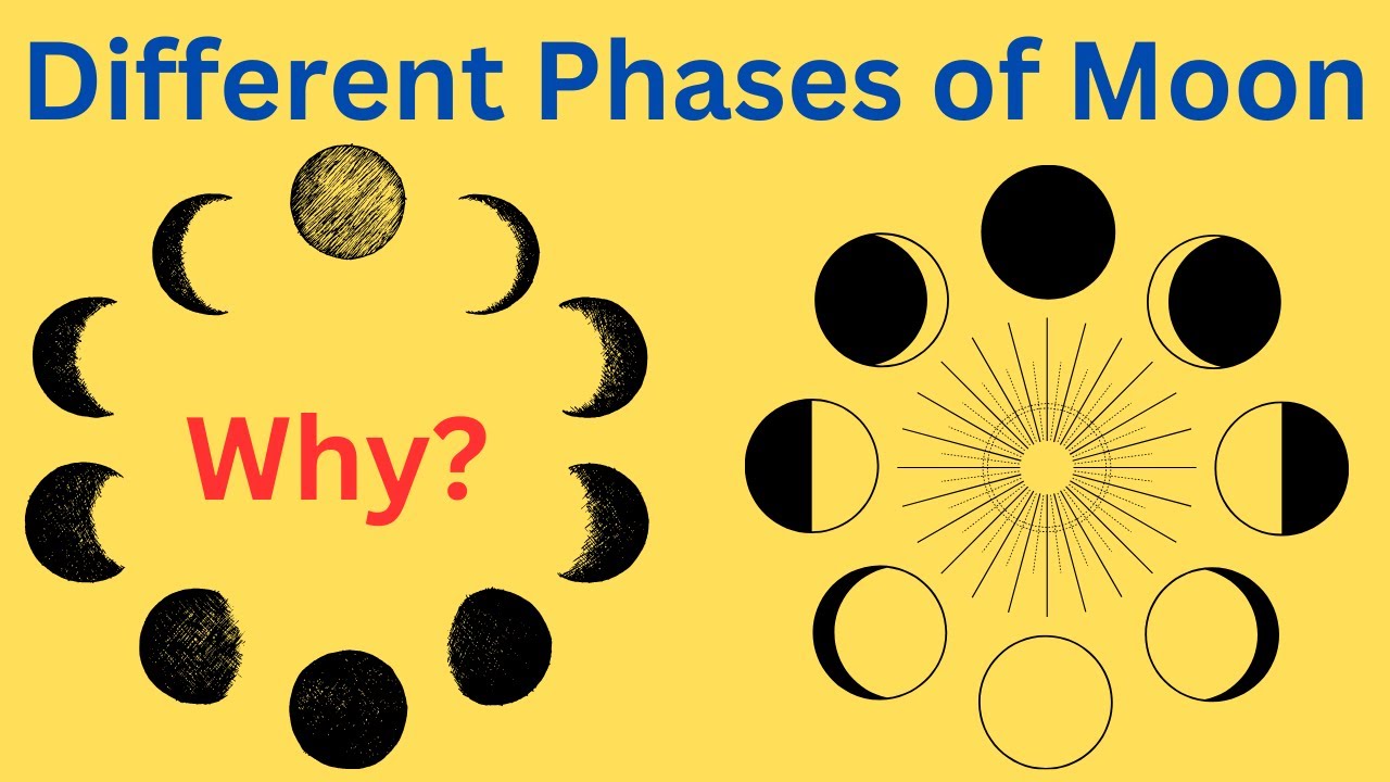 Why Do We See Different Phases of the Moon | New Moon, Waxing Waning Crescent Gibbous, Quarter ...