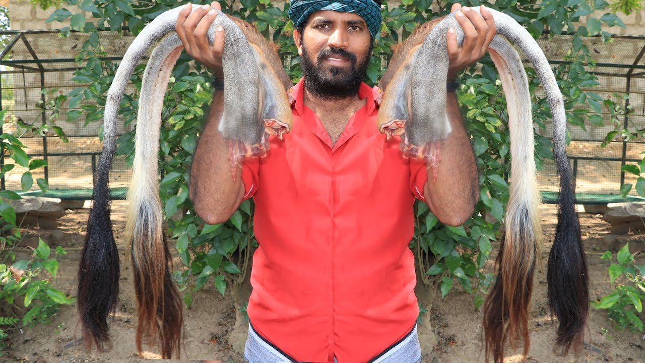 BULL TAIL CURRY | beef vaal curry| Our village traditional healthy ...