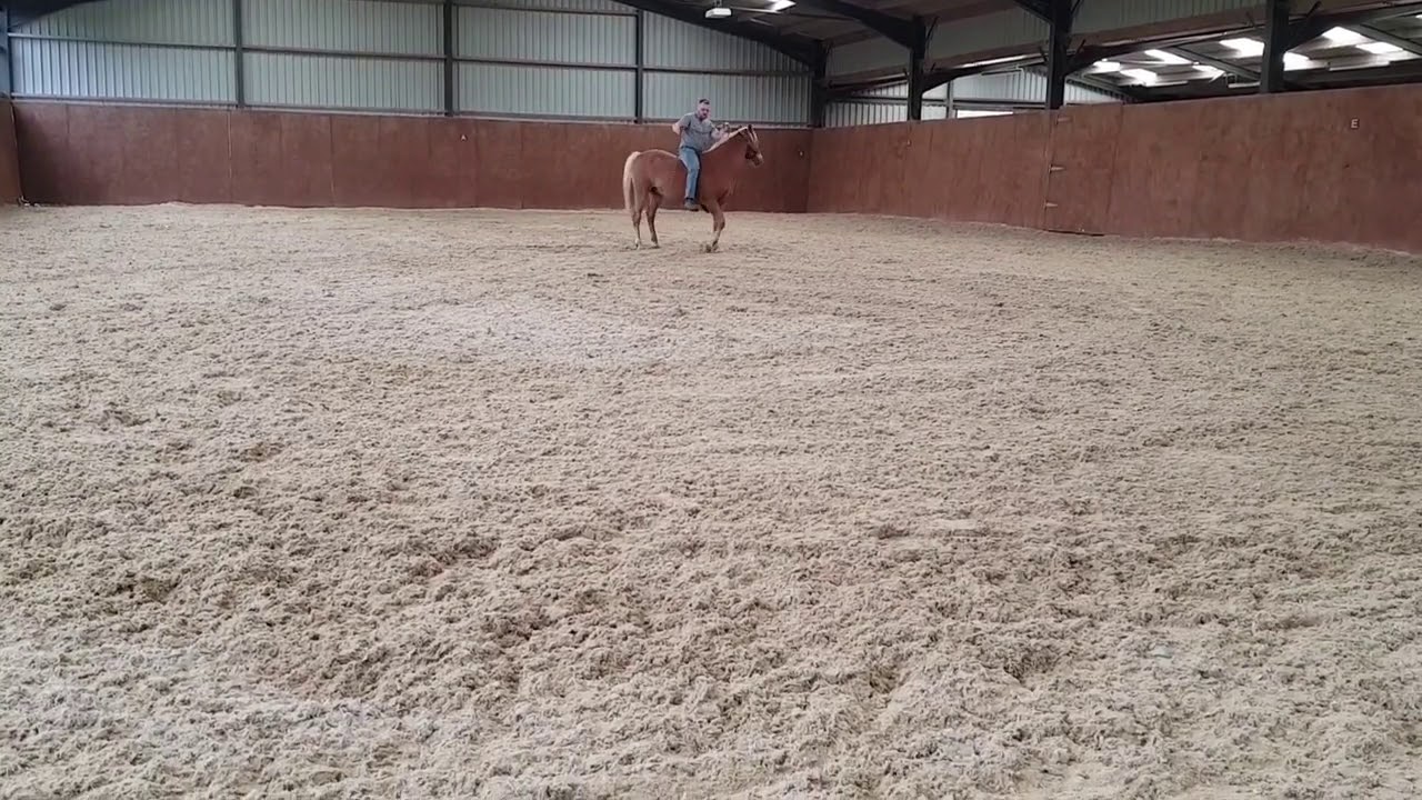 tinkerboy.... take away the tack and all your left with is the truth - YouTube