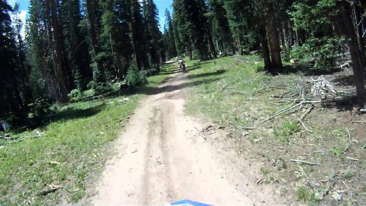 Colorado Logging Roads - YouTube