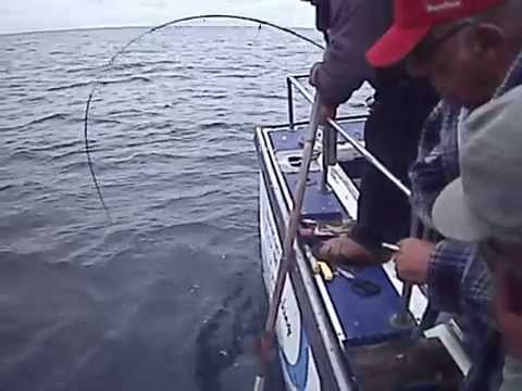 safio do diogo no mensageiro do mar peniche abril 2014 - YouTube