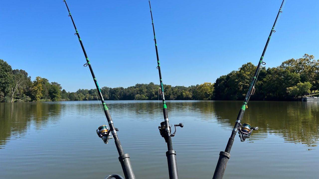 Livestream | Kayak Catfish and Carp Fishing on Watts Bar Reservoir ...