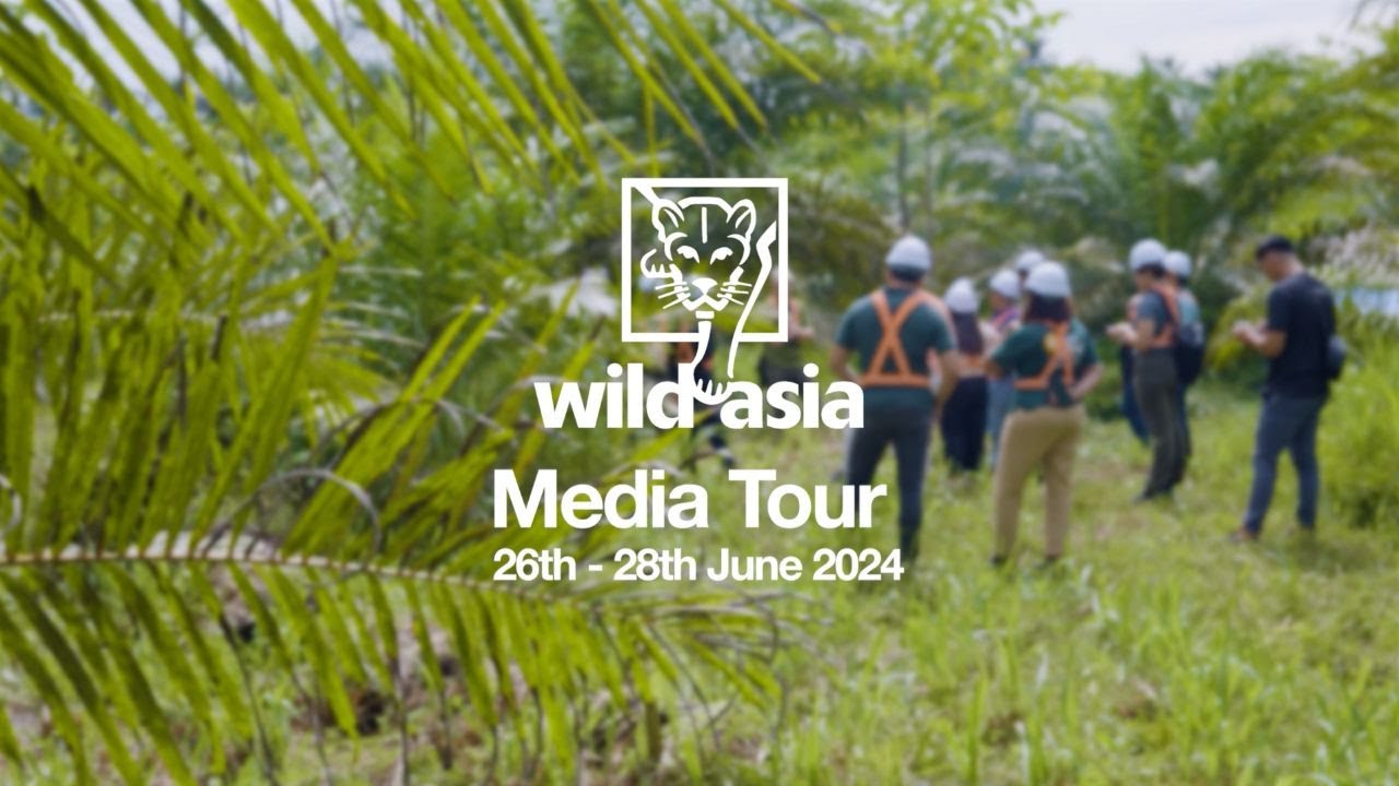 Shifting the Palm Oil Narrative - Wild Asia Media Tour 2024 - YouTube