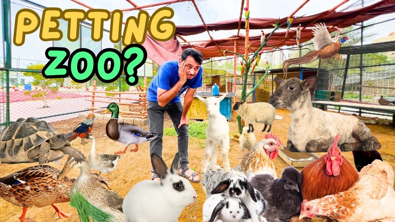 KYA PETTING ZOO DUBARA BAN PAEGA? 🤔☹️ ( MINI ZOO & PET HOUSE VLOG ...