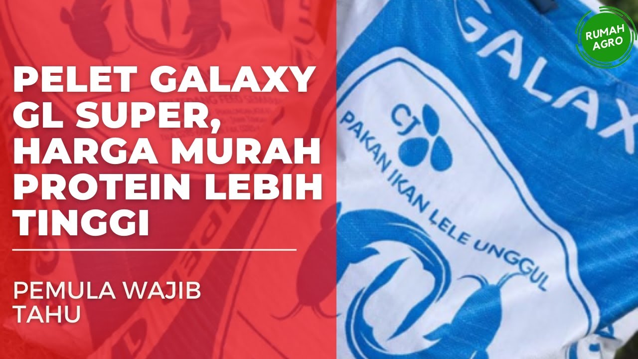 Review Pakan Lele Galaxy GL Super, Pakan Lele Agar Cepat Panen - YouTube