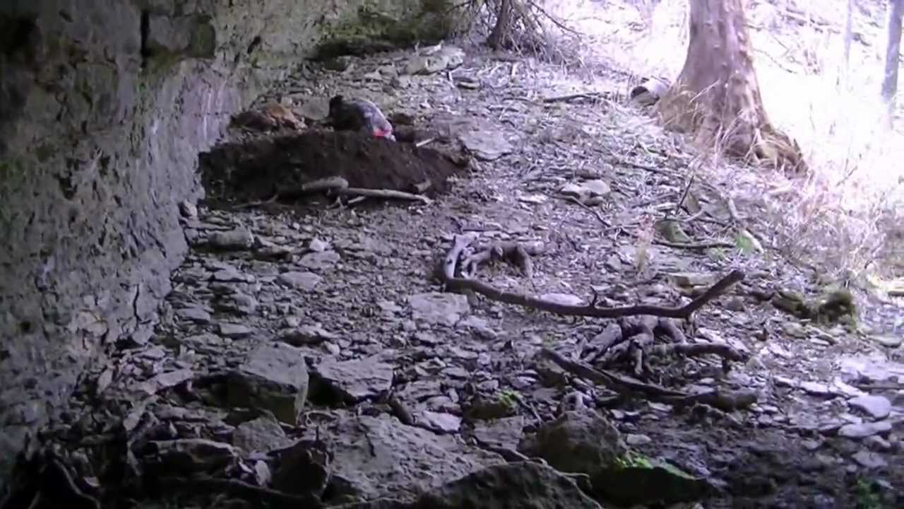 cave overhang - YouTube