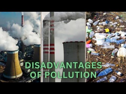 Disadvantages of pollution / Pollution - YouTube