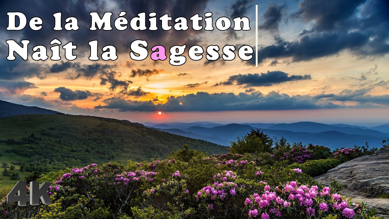 Musique Apaisante | Bruit de la Nature | Relaxation Zen et Méditation ...