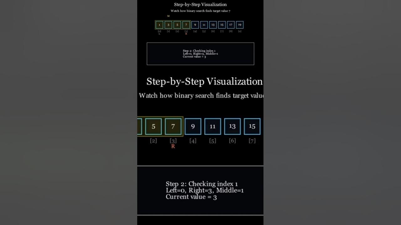 Binary Search Visualisation #programming #coding #datastructures - YouTube