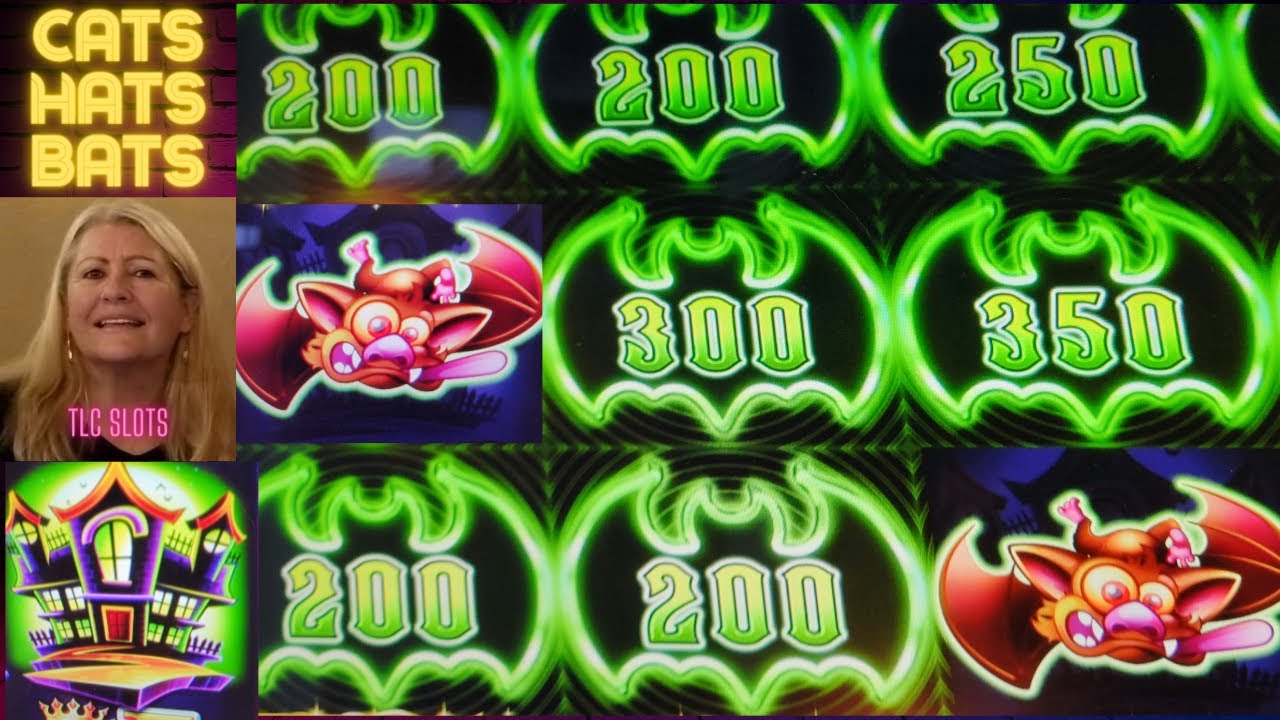 Splat!🦇A Must See!👀 Cats, Hats, and More Bats! TLC Slots - YouTube
