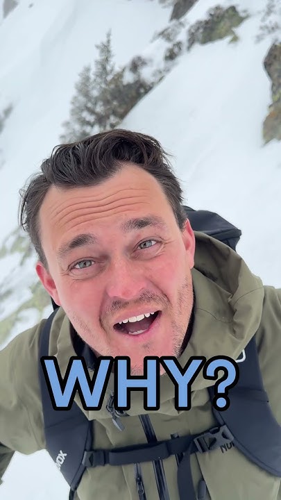 The Fastest Growing Programming Language - YouTube