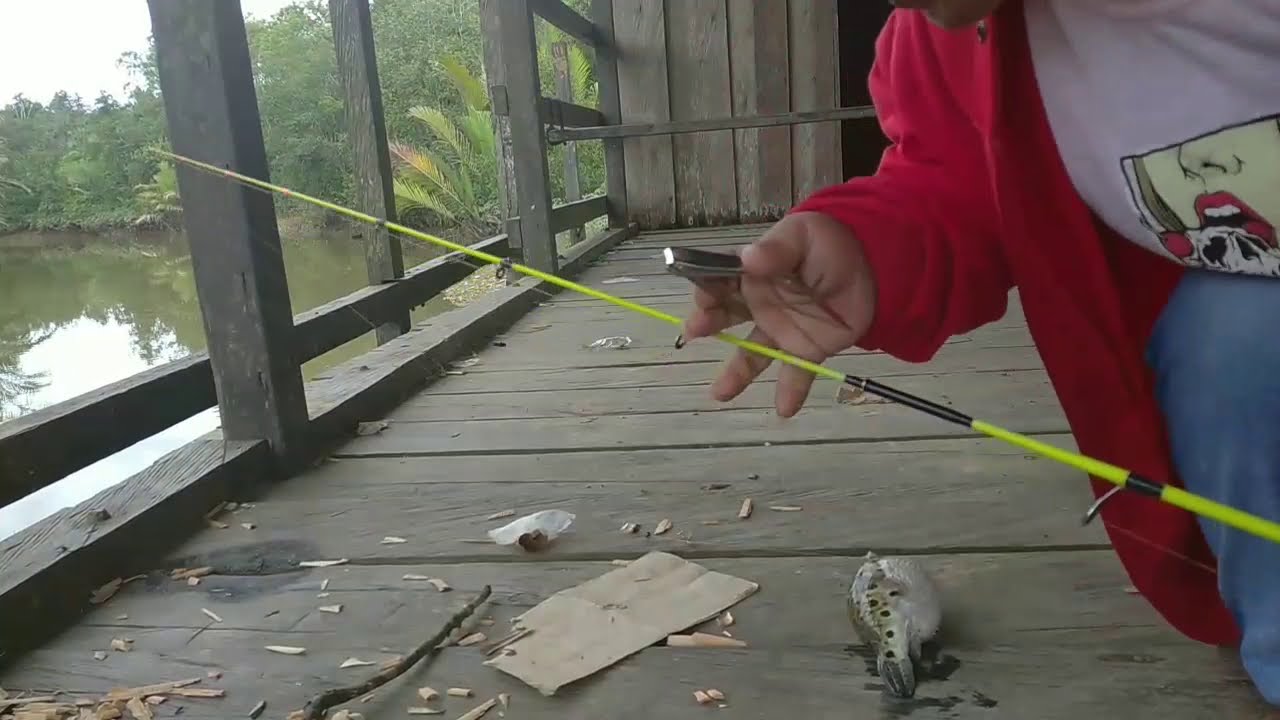 mancing ikan paling mahal di luar negri - YouTube