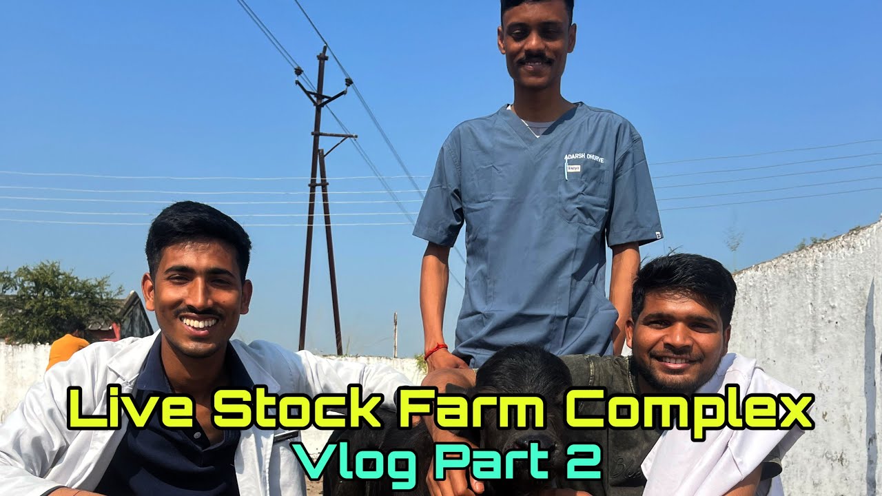 Live Stock Farm Complex Vlog 2 - YouTube
