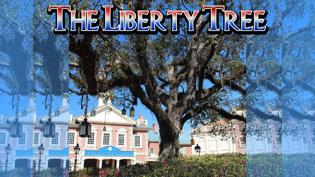 The Liberty Tree Song - YouTube