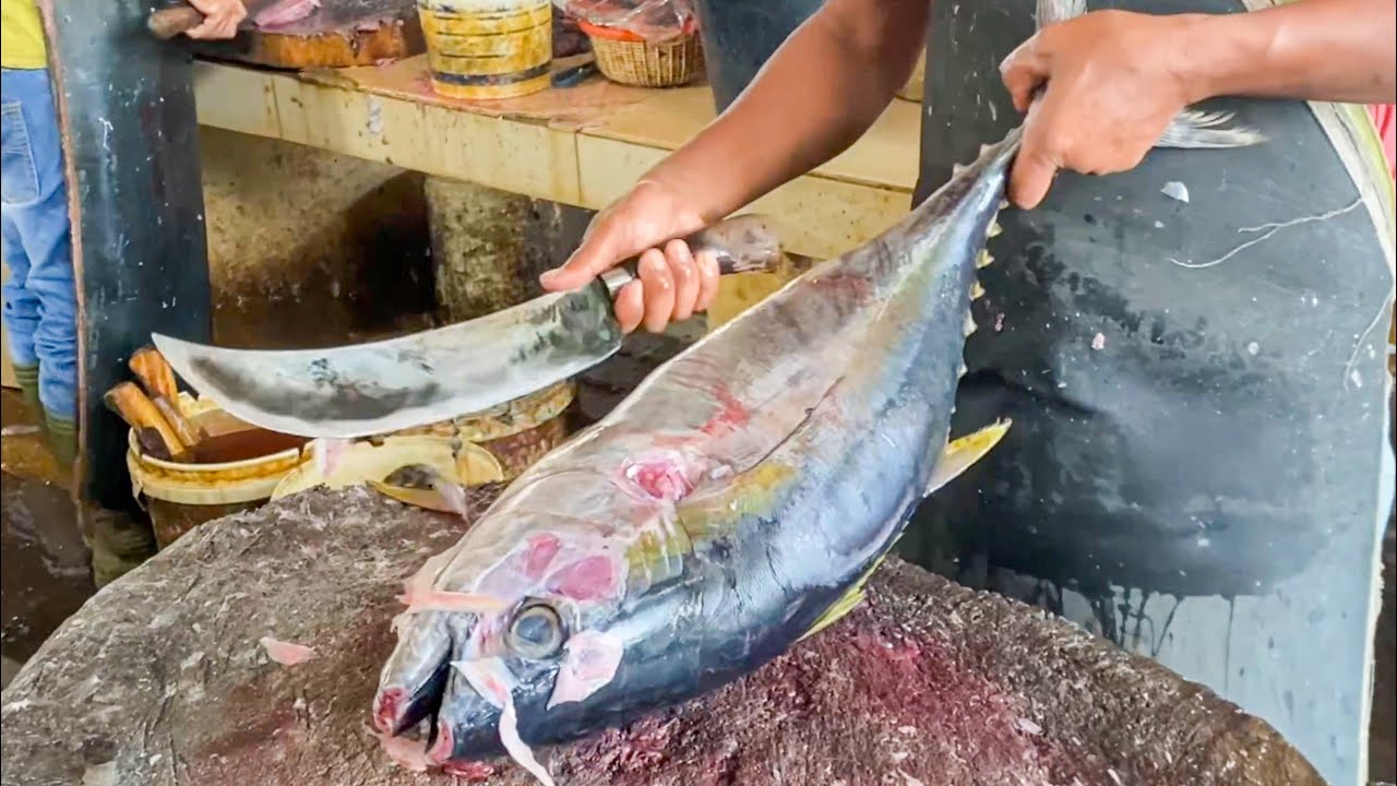 TRADITIONAL SHARPEST TUNA KNIFE || AMAZING TUNA CUTTING IN EXTREME FISH ...