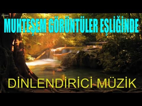 MUHTEŞEM GÖRÜNTÜLER EŞLİĞİNDE RAHATLATICI MÜZİK | KUŞ SESLERİ | GİTAR VE PİYANO EŞLİĞİNDE 🇹🇷 🎼 🎧