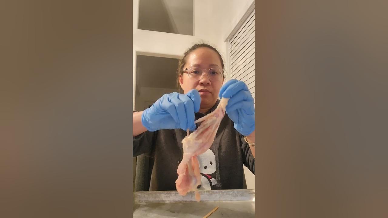 Bio 230 AP Chicken wing dissection - YouTube