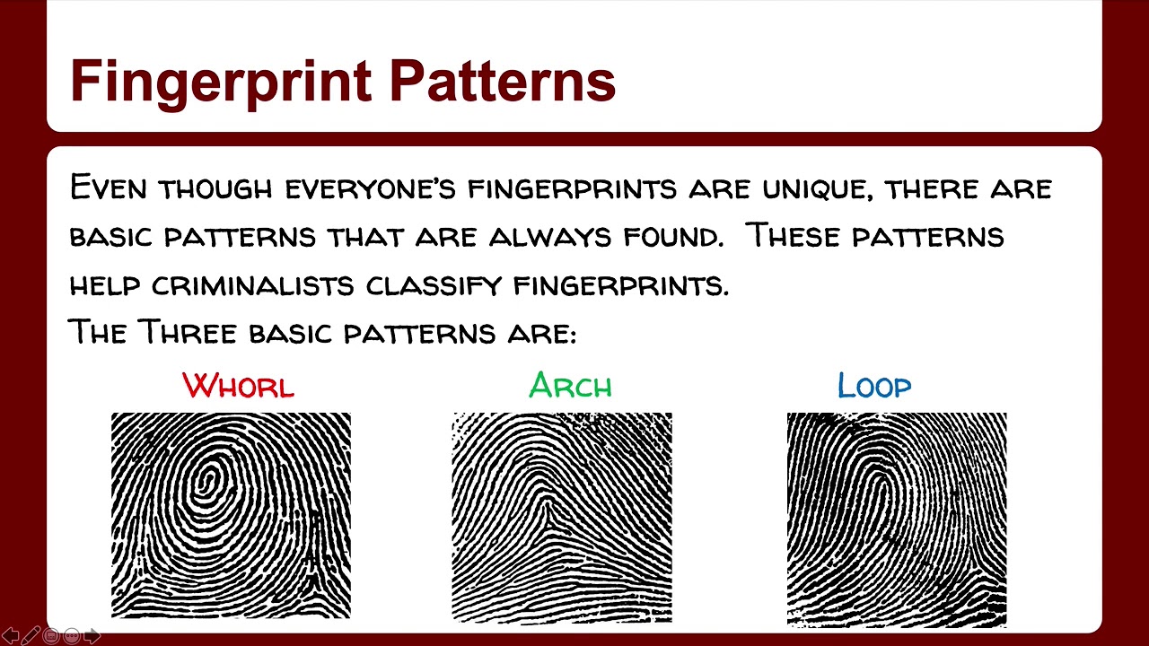 Fingerprint Identification May 5 YouTube fingerprint-identification-may-5-youtube